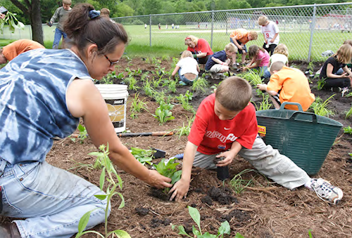 Curriculum | Ripple Effects